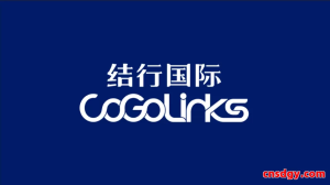 CoGoLinks 跨境收款全解析：平台定位、币种支持与操作流程_提现教程_石南支付平台导航