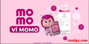 MoMo支付平台详细解析：功能、费用、注册与提现全指南_提现教程_石南支付平台导航