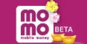 越南MoMo是什么支付平台？靠谱吗？2024年最新版注册使用指南_支付百科_石南支付平台导航